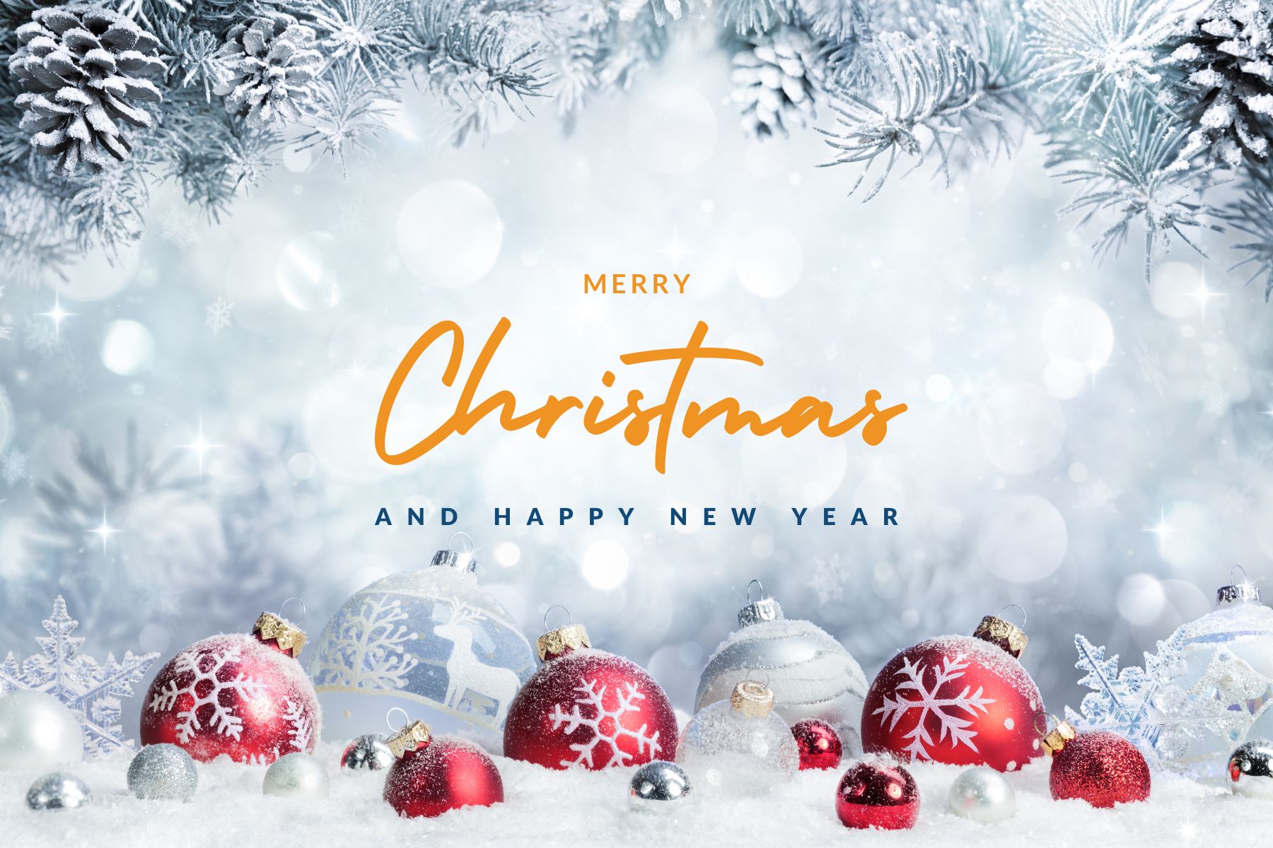 Happy Christmas from everyone at NOUVEM - Nouvem